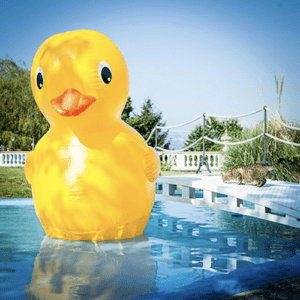 Live Your Best Summer Life with These 20 Pool Floats from BigMouth Inc ...